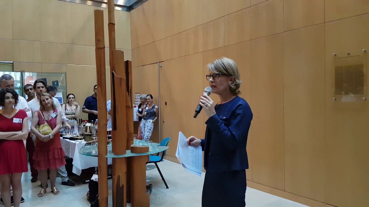 Lancement campagne Anne Genetet 2017 - YouTube