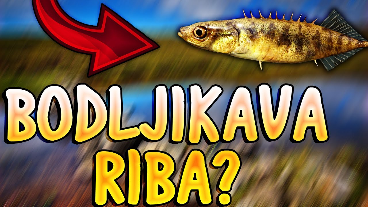 RIBA SA IGLAMA NA LEDJIMA? - Russian Fishing 4 - Small Southern ...