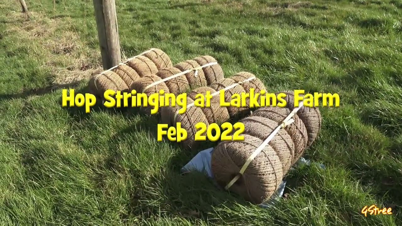 Hop Stringing - YouTube