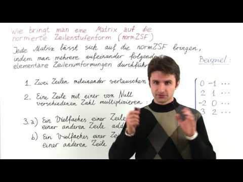 KAP1 THEORIE 2 | BERECHNUNG DER ZEILENSTUFENFORM EINER MATRIX ...