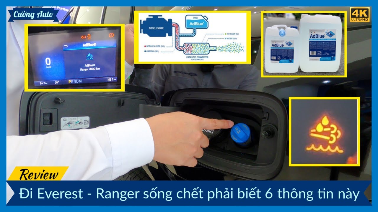 Giải đáp mọi vấn đề liên quan đến dung dịch ADBLUE trên FORD RANGER ...