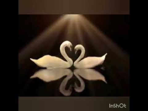 Ad:EŞQİN PEŞMANLIĞI