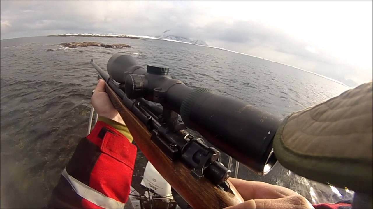 Seal hunting in Norway 2013 - YouTube