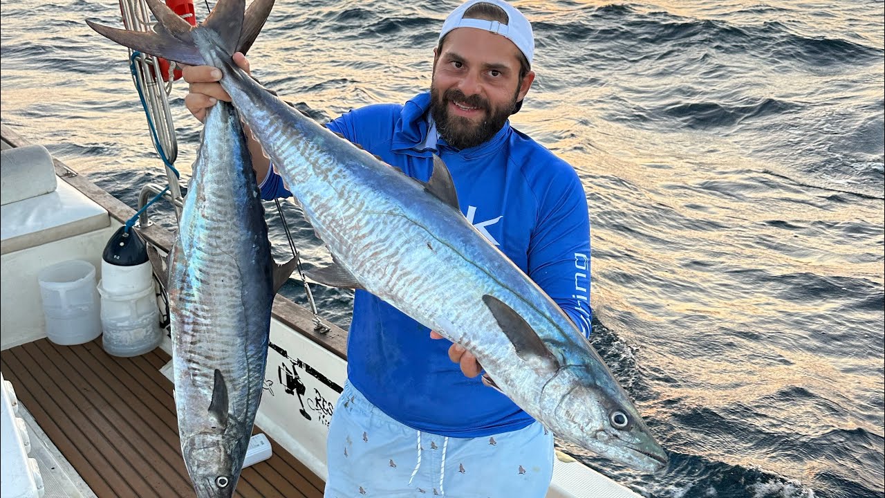 Catching Kingfish & Orange-Spotted Trevally with Live Sardine Bait ...