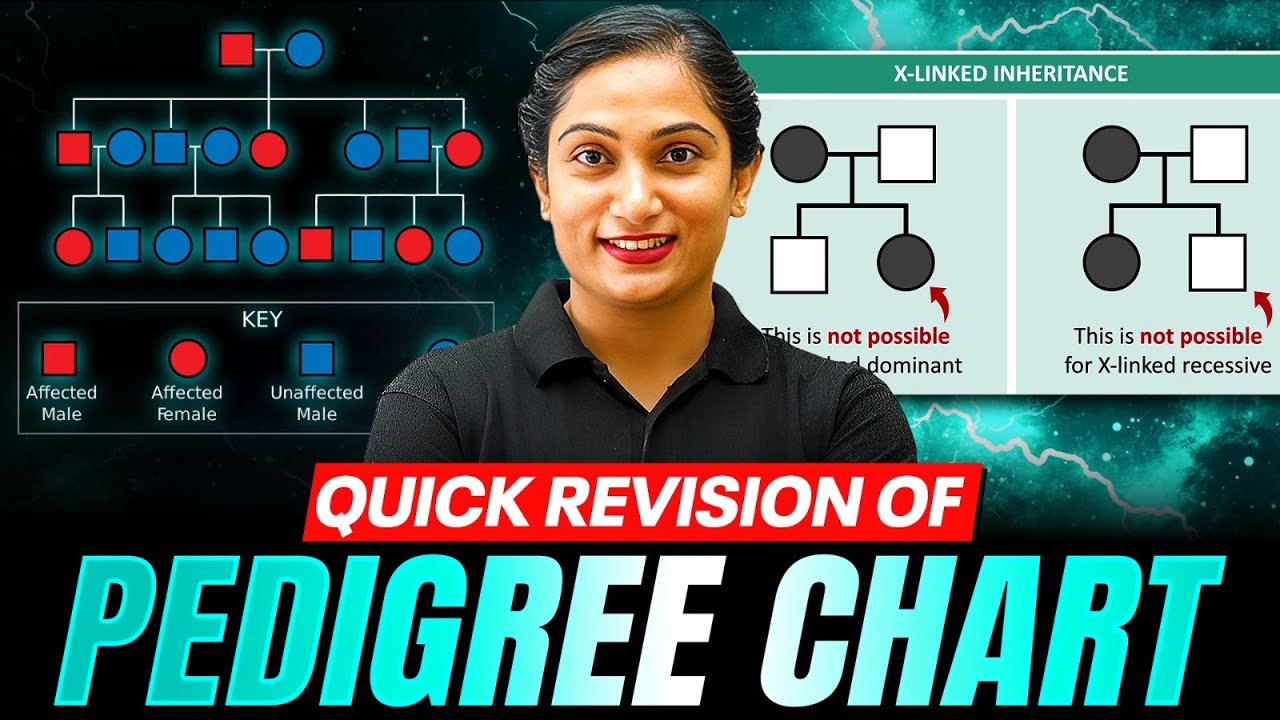 PEDIGREE CHART - Quick Revision in 39 Minutes | Class 12th BOTANY ...