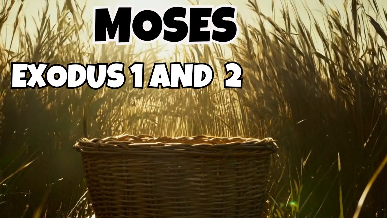 BIRTH OF MOSES | Suffering and the story of Exodus 1 and Exodus 2 - YouTube