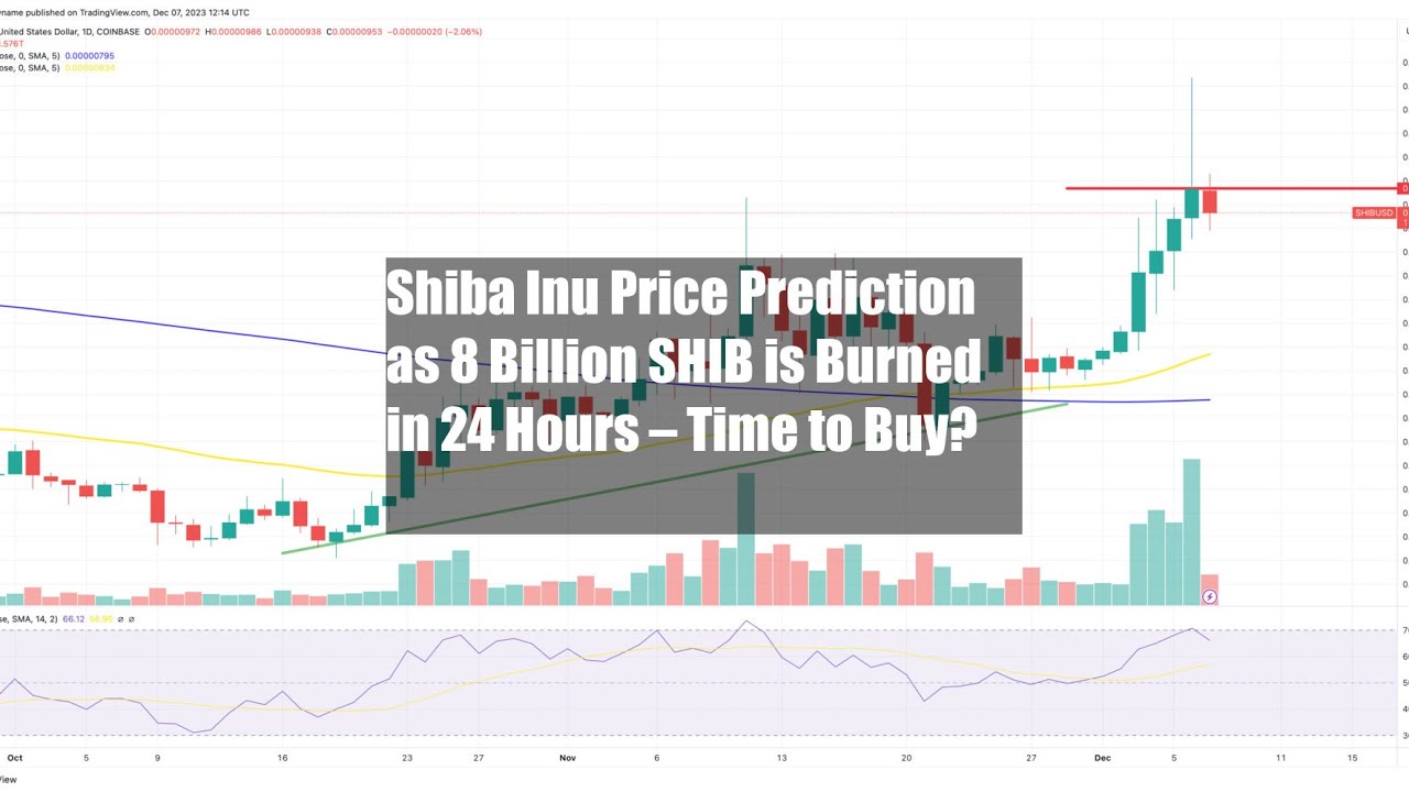 Shiba Inu Price Prediction as 8 Billion SHIB is Burned in 24 Hours - YouTube