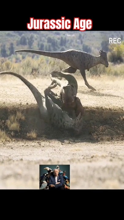 Jurassic Age || The Pachysephalosaurus dinosaur part 4 - YouTube