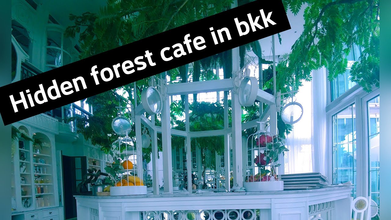 HIDDEN FOREST CAFE! IN BANGKOK THAT YOU MUST VISIT !!! - YouTube