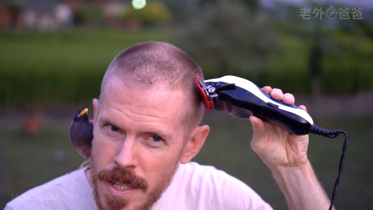 如何剪自己的頭髮 （How to Cut Your Hair... with A Wild Bird on Your Shoulder ...