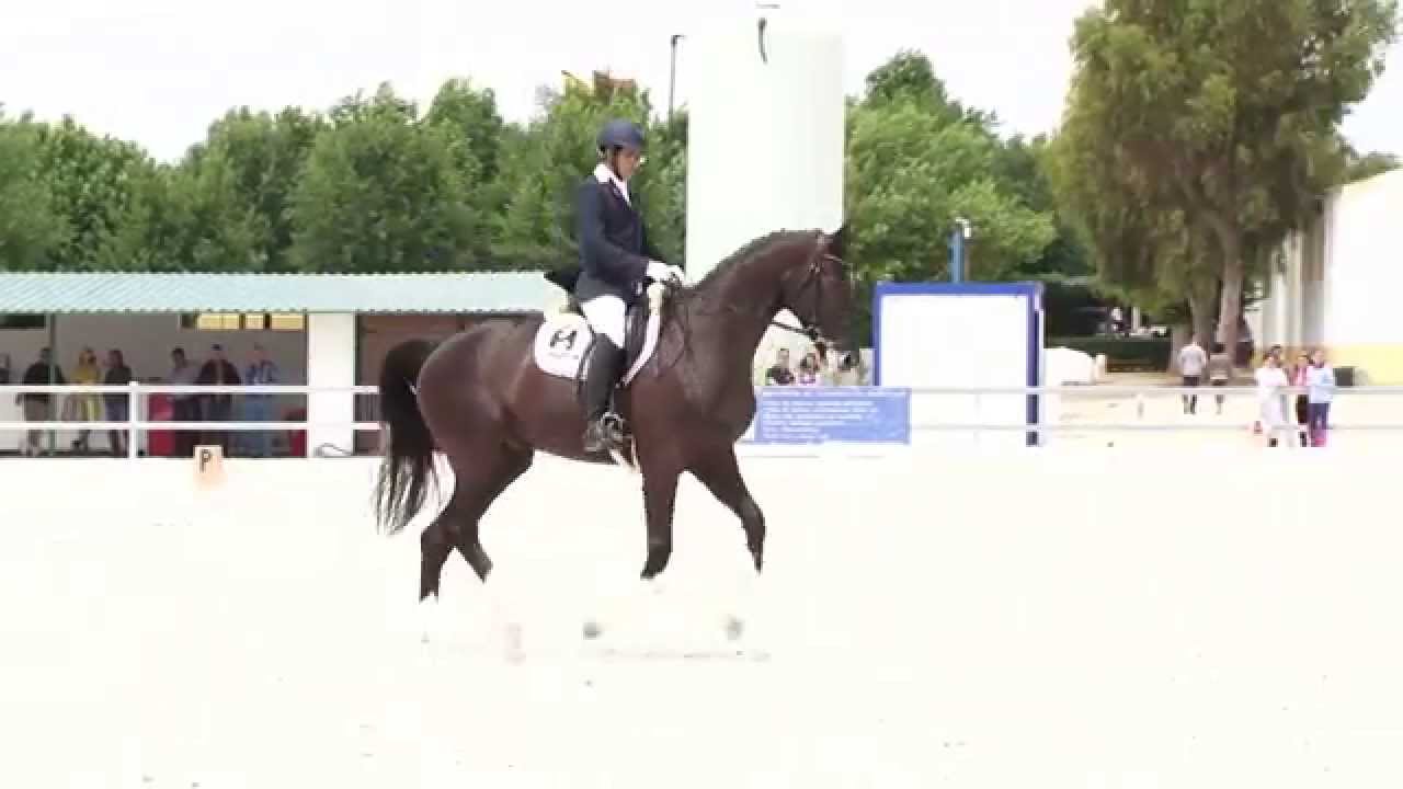Rodrigo Mora: Sir Henry - CDN2* y CDT Las Cadenas 14/06/15 - YouTube