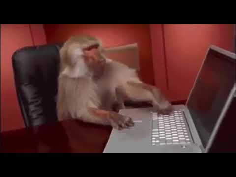 Monkey Typing In MacBook Meme Template | Monkey with Computer Meme ...