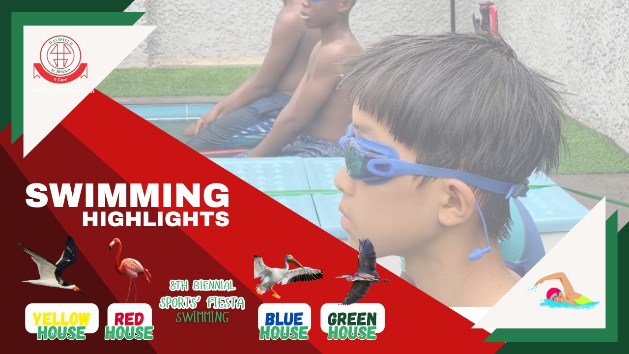 8TH BIENNIAL SPORTS FIESTA - SWIMMING - YouTube