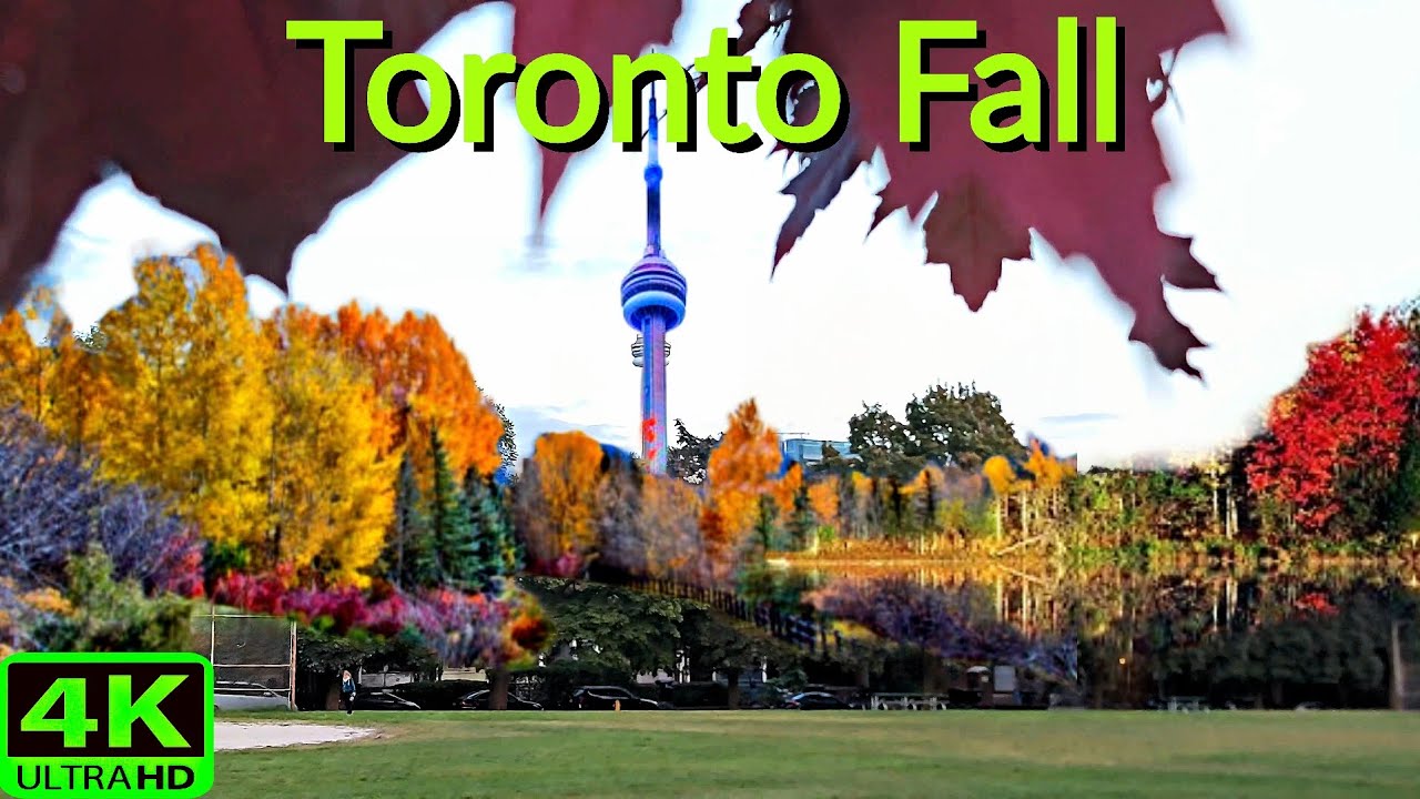 【4K】TORONTO FALL WALK IN TRINITY BELLWOODS PARK | CANADA AUTUMN - YouTube