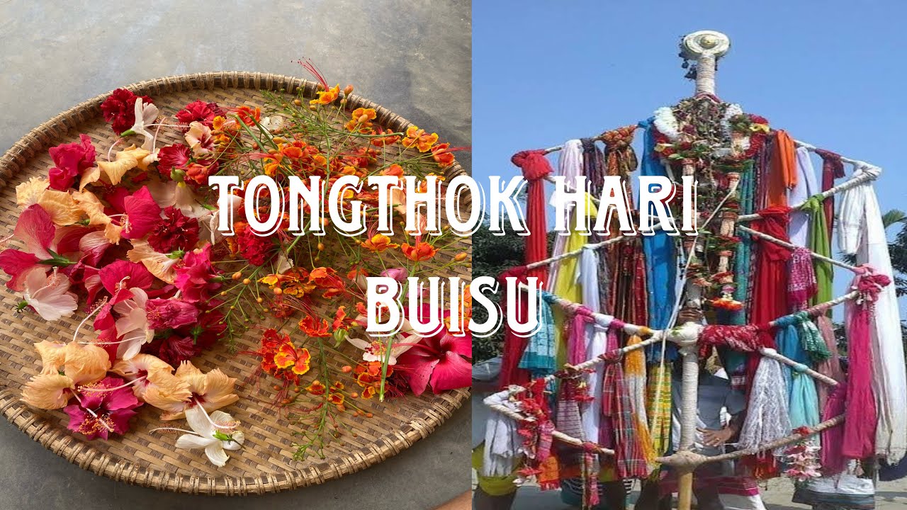 Tongthok Hari Buisu Jotono|| Tripura blogger ||@sushmitajamatia1144 ...