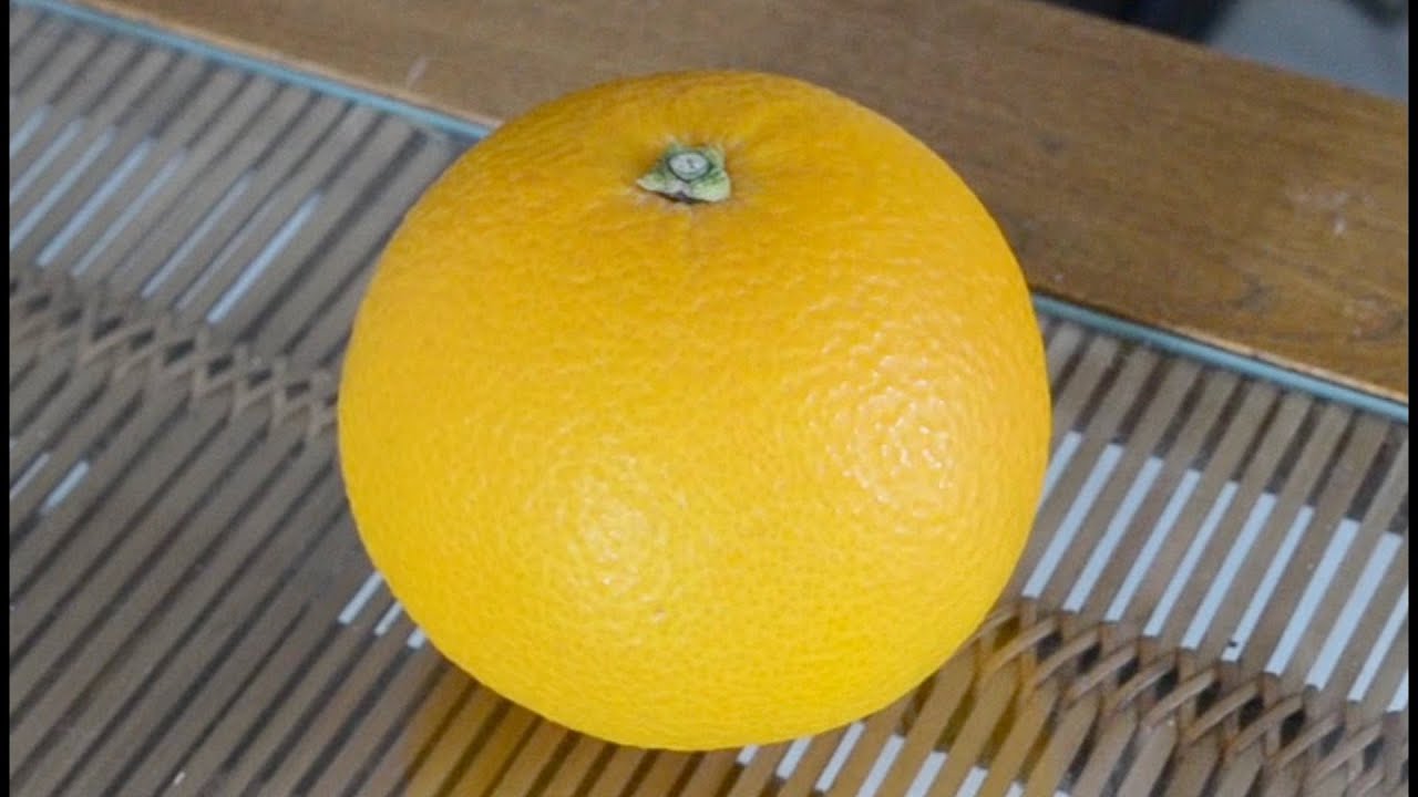 甘夏の食べ方 How to eat Amanatsu (a sweet Watson pomelo) - YouTube