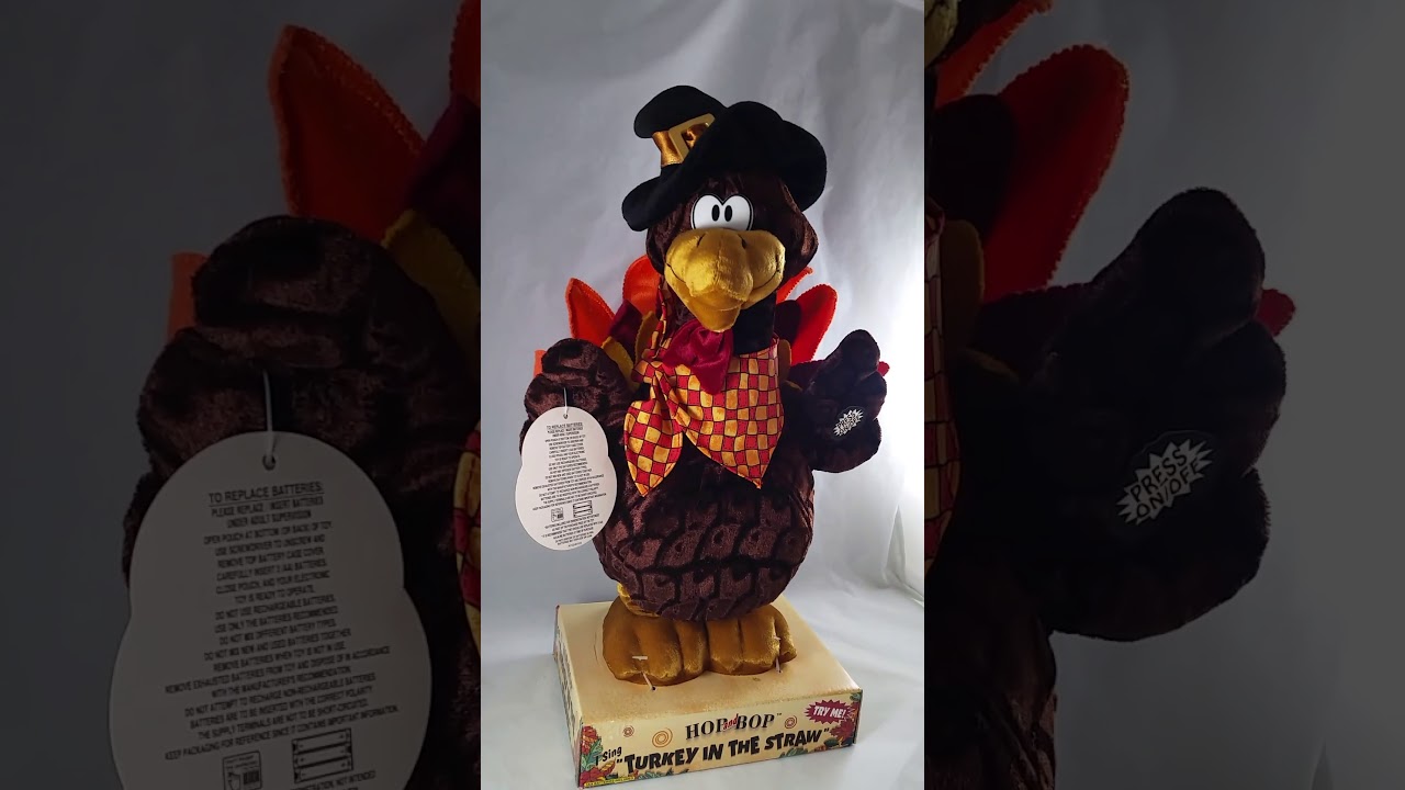 Dan Dee Hop and Bop Turkey ebay - YouTube