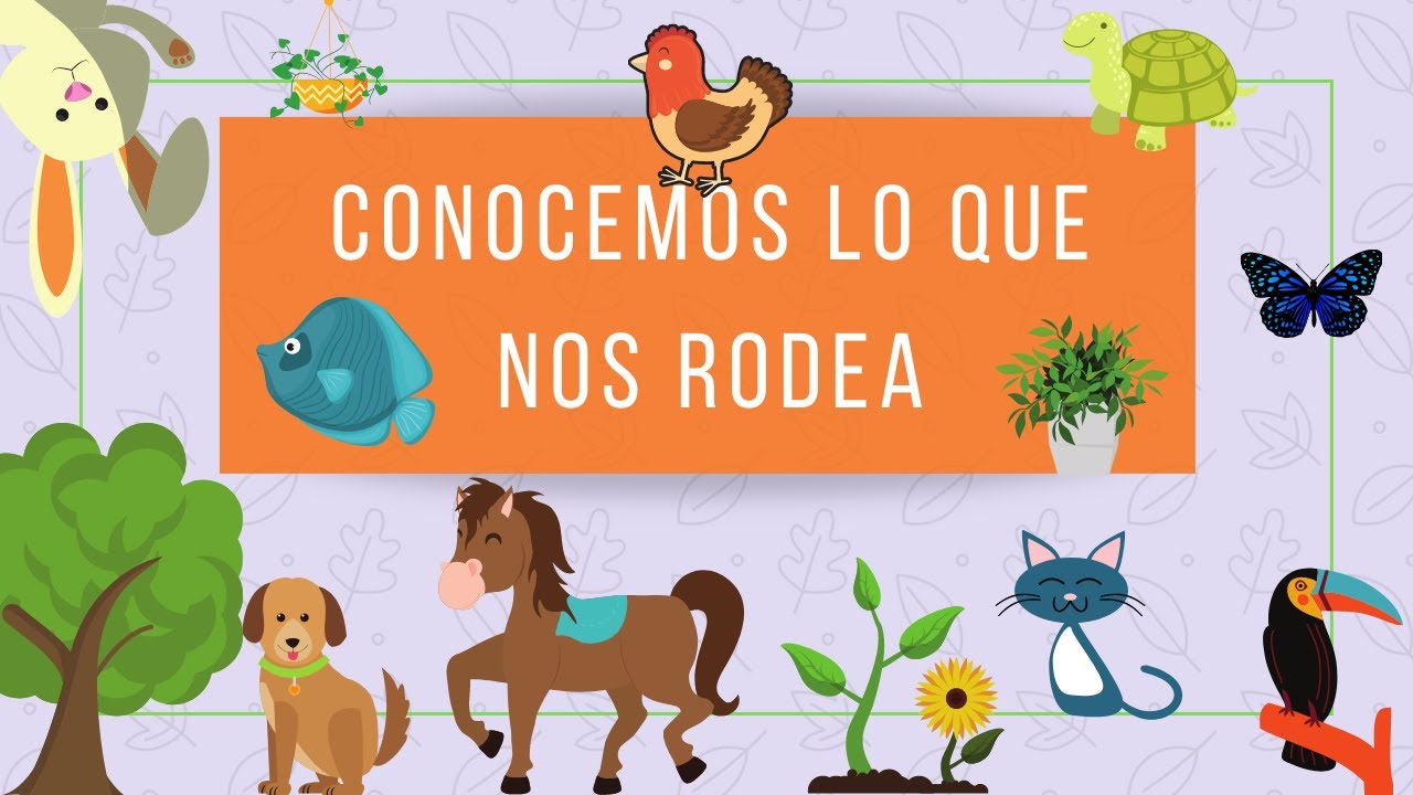 CONOCEMOS LO QUE NOS RODEA - YouTube