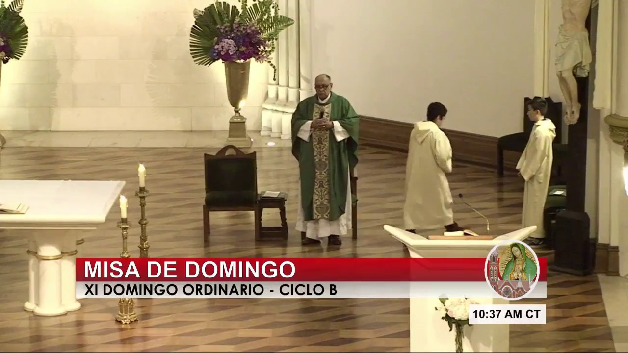 XI Domingo Ordinario | Misa desde la Catedral de Dallas, Texas. - YouTube