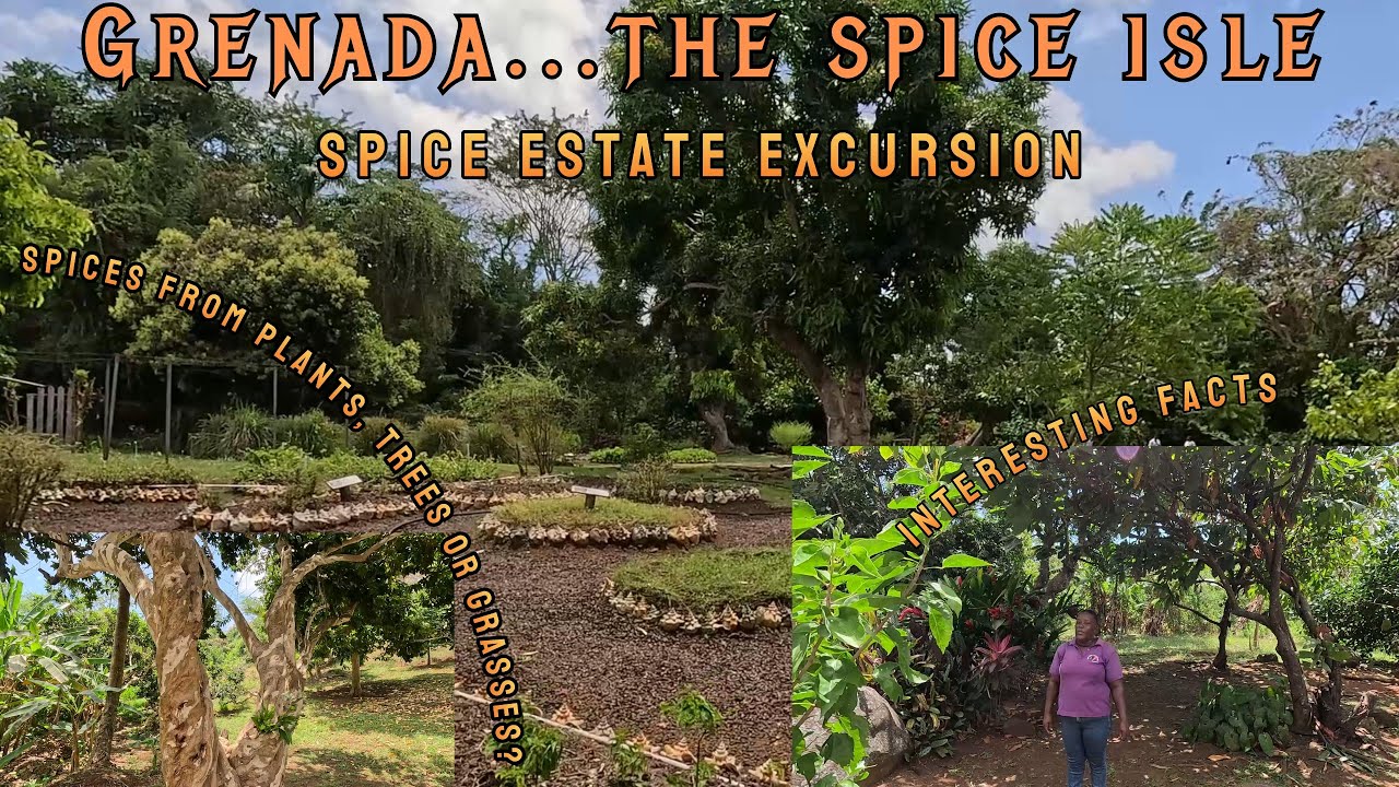 I Discovered Why Grenada is Called the SPICE ISLE! - YouTube