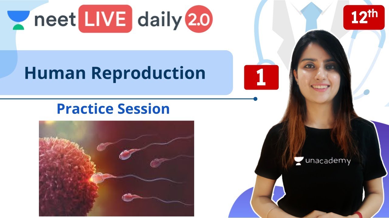 NEET: Human Reproduction | Part - 1 | Live Daily 2.0 | Unacademy NEET ...