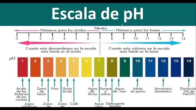 Acidos E Bases Em Escala De Ph