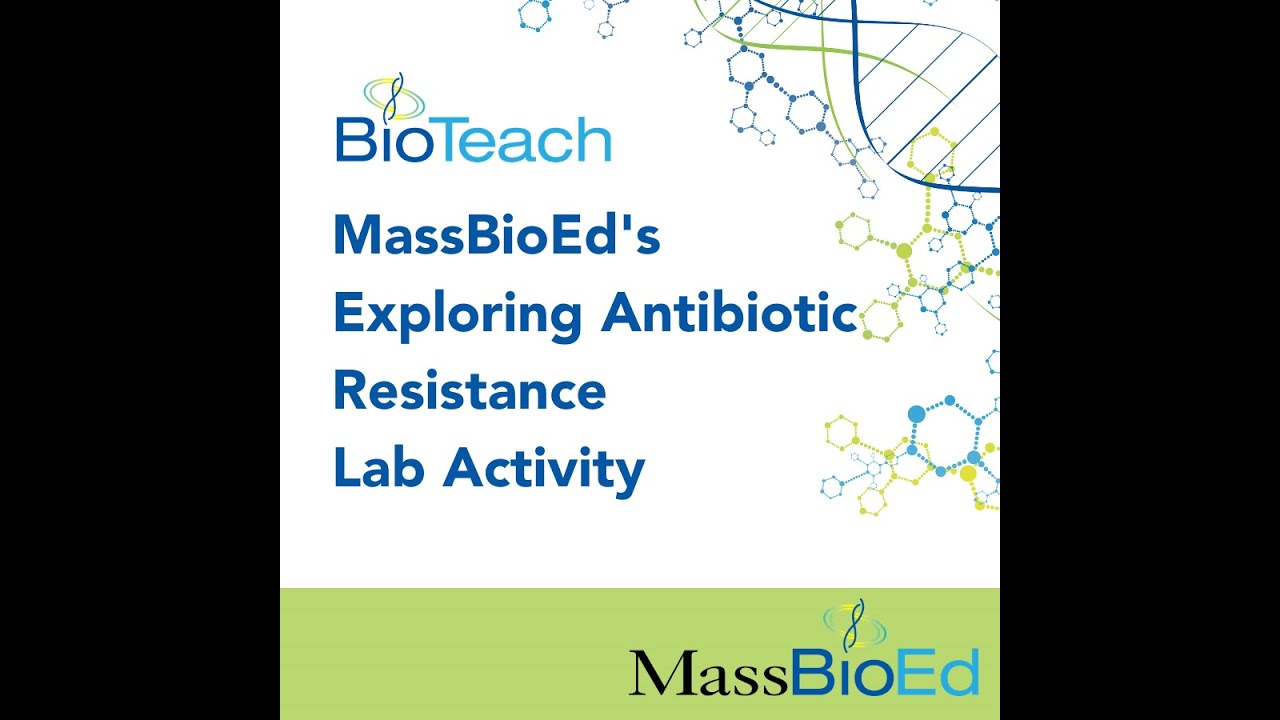 MassBioEd's Exploring Antibiotic Resistance Lab Activity - YouTube