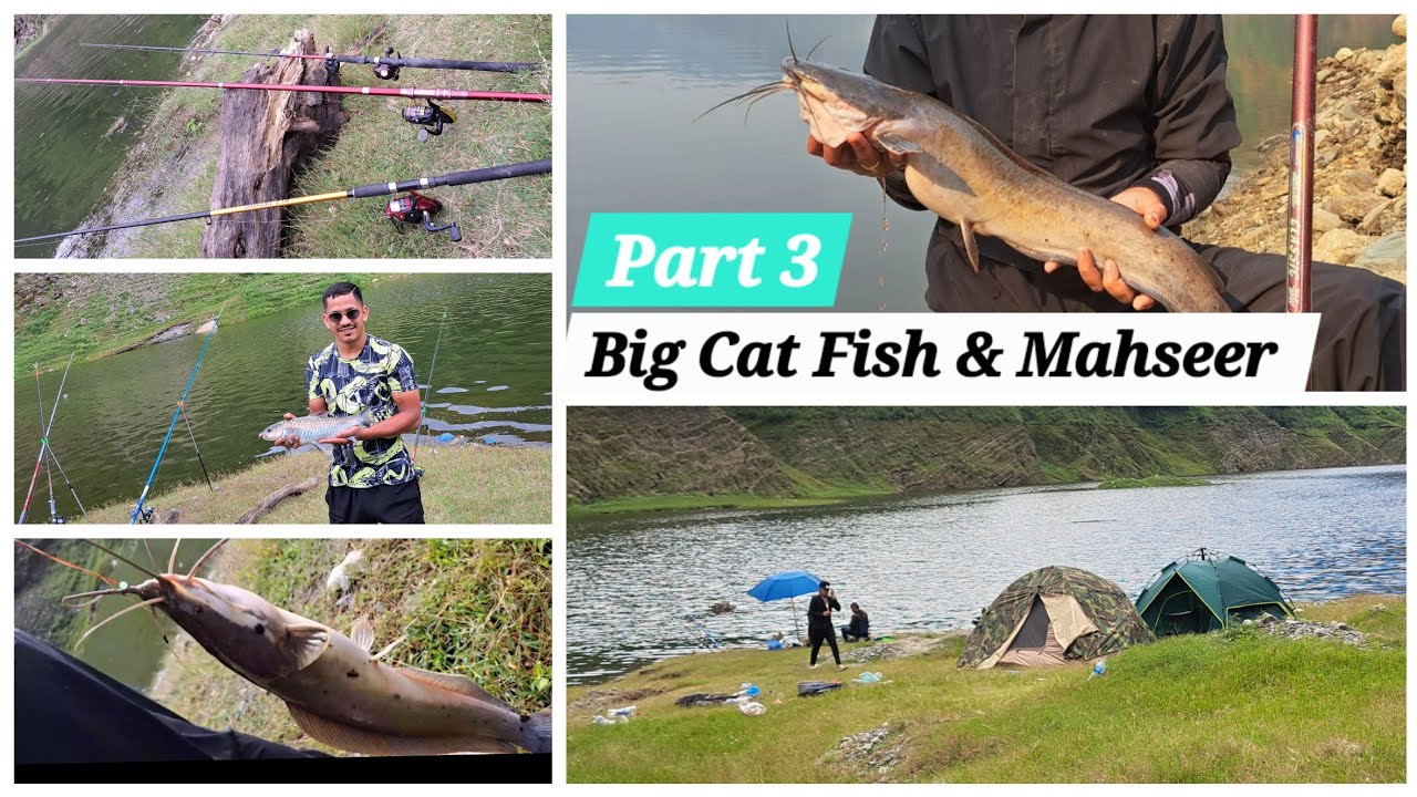 ( Part 3 ) Kulekhani Dam Copper Mahseer & Cat Fish Fishing 🎣🎣🎣 #fishing ...