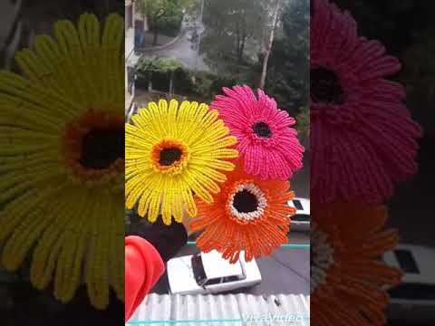 Muncuqdan guller🌹