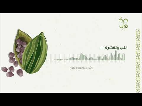 اللب والقشرة -1 | حبة هيل | الموسم 1 - YouTube