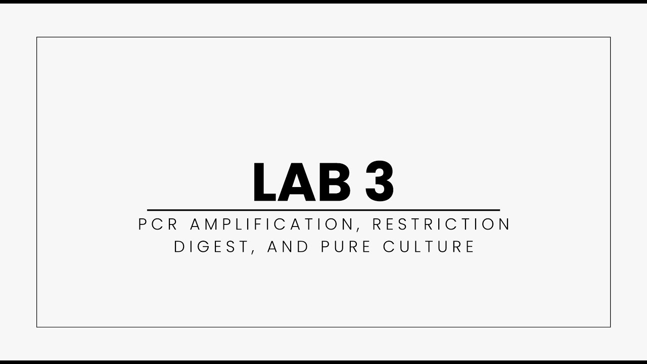 Lab 3: PCR Visualization, Restriction Digest, and Pure Culture - YouTube