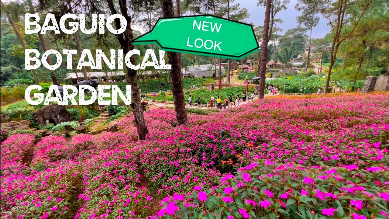 Baguio Botanical Garden Baguio Travel Guide: Where To Go And Where To