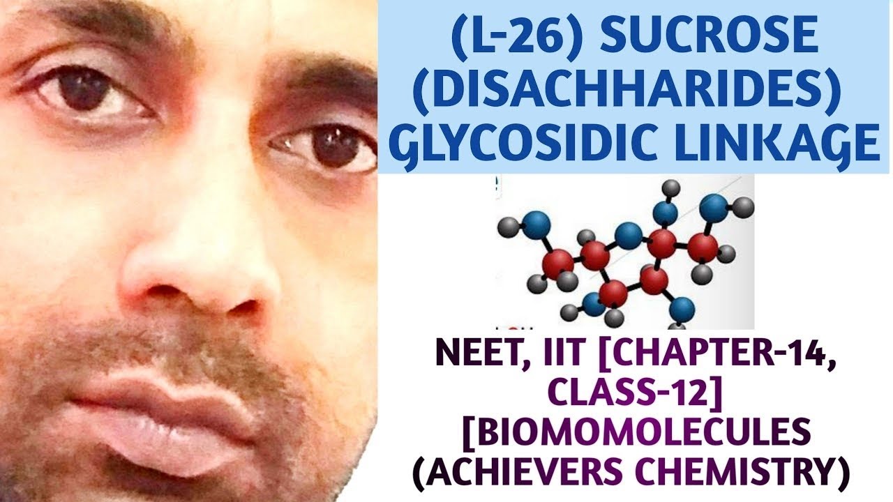 Sucrose structure and formation || Biomolecules in chemistry and ...