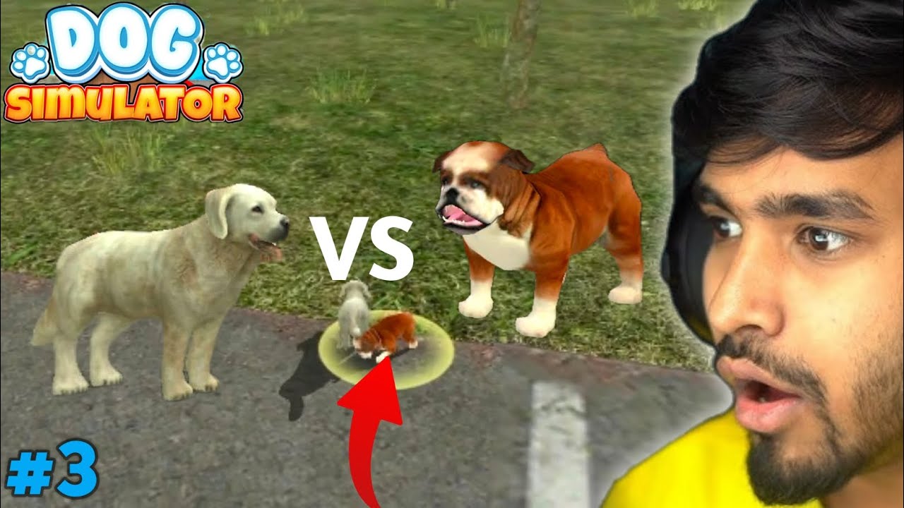I DEFEATED A STRONG DOG | DOG SIM ONLINE : RAISE A FAMILY | GAMEPLAY #3 ...