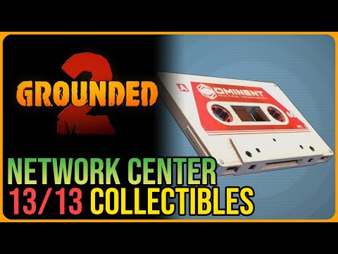 All Network Center Collectibles – Grounded 2