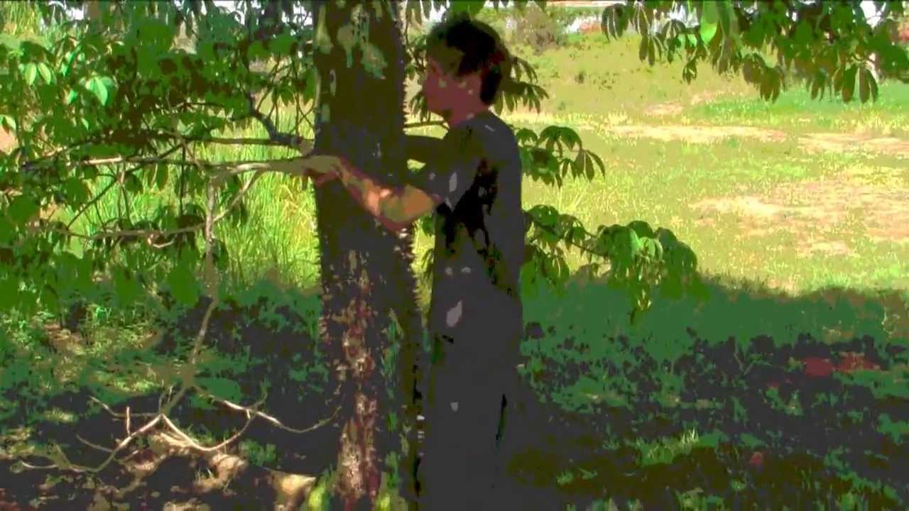 Humping a Tree - YouTube