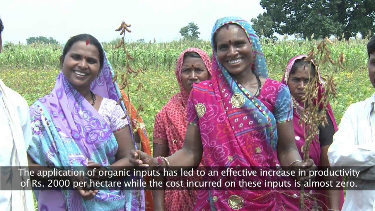 Agriculture- Aga Khan Rural Support Programme India - YouTube