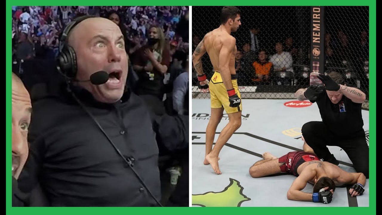 Witness the Most Jaw-Dropping MMA Head Kick Knockouts! - YouTube