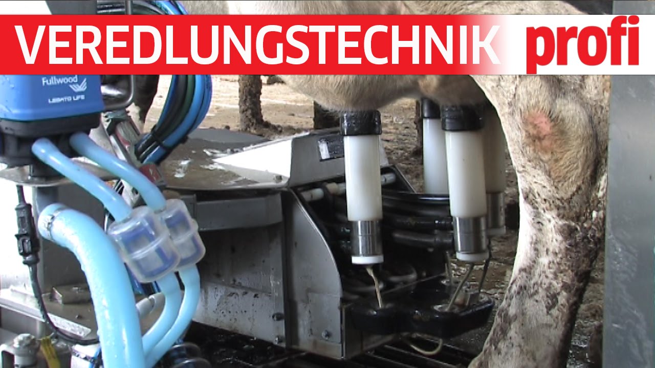 Lemmer Fullwood Merlin 225 - YouTube