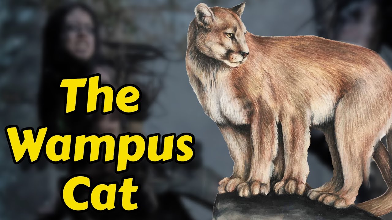 The Legend Of The Wampus Cat - YouTube