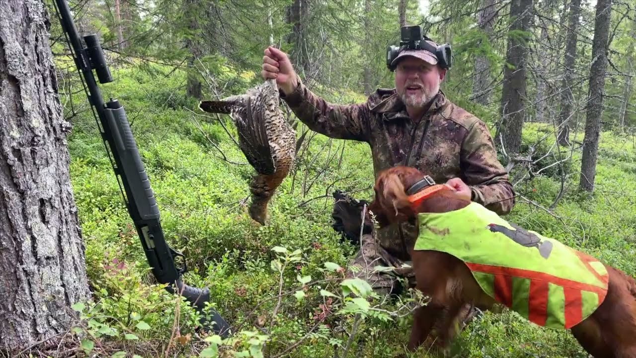 Hunting black grouse with Kristoffer Clausen. Global Adventure episode ...