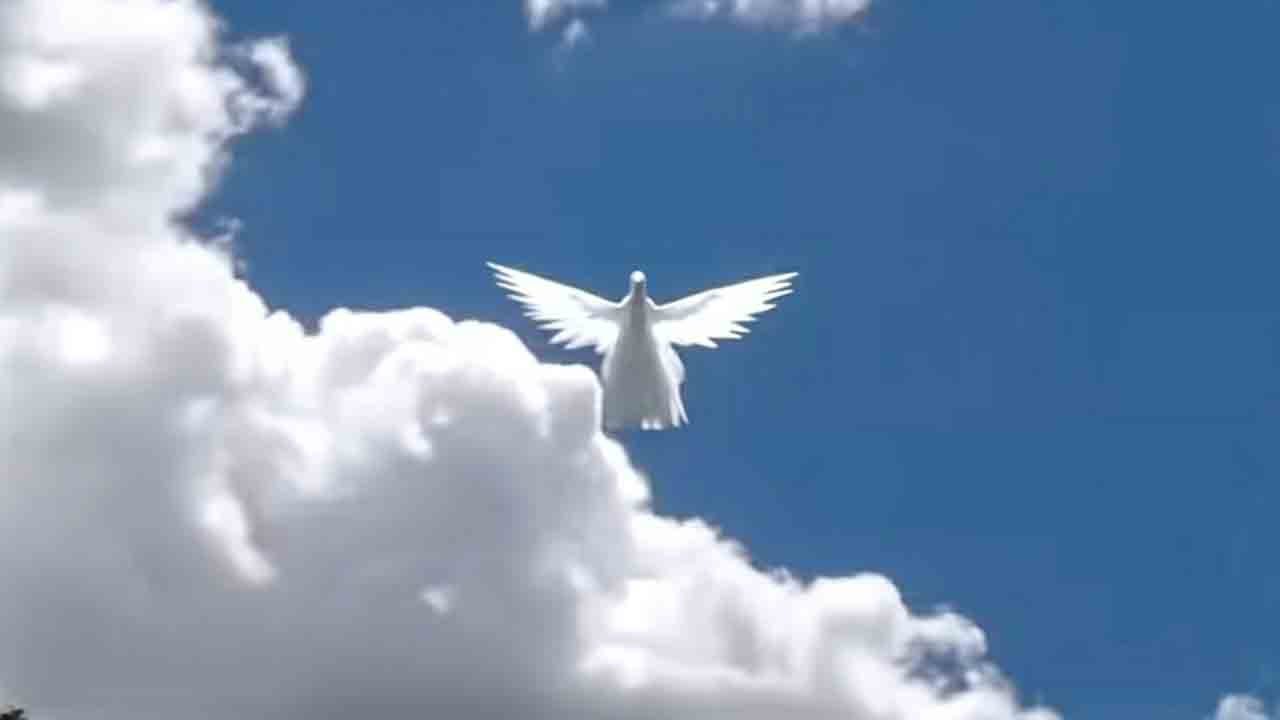 15 Angel Sightings That Will Convince You They Are REAL! - Go IT