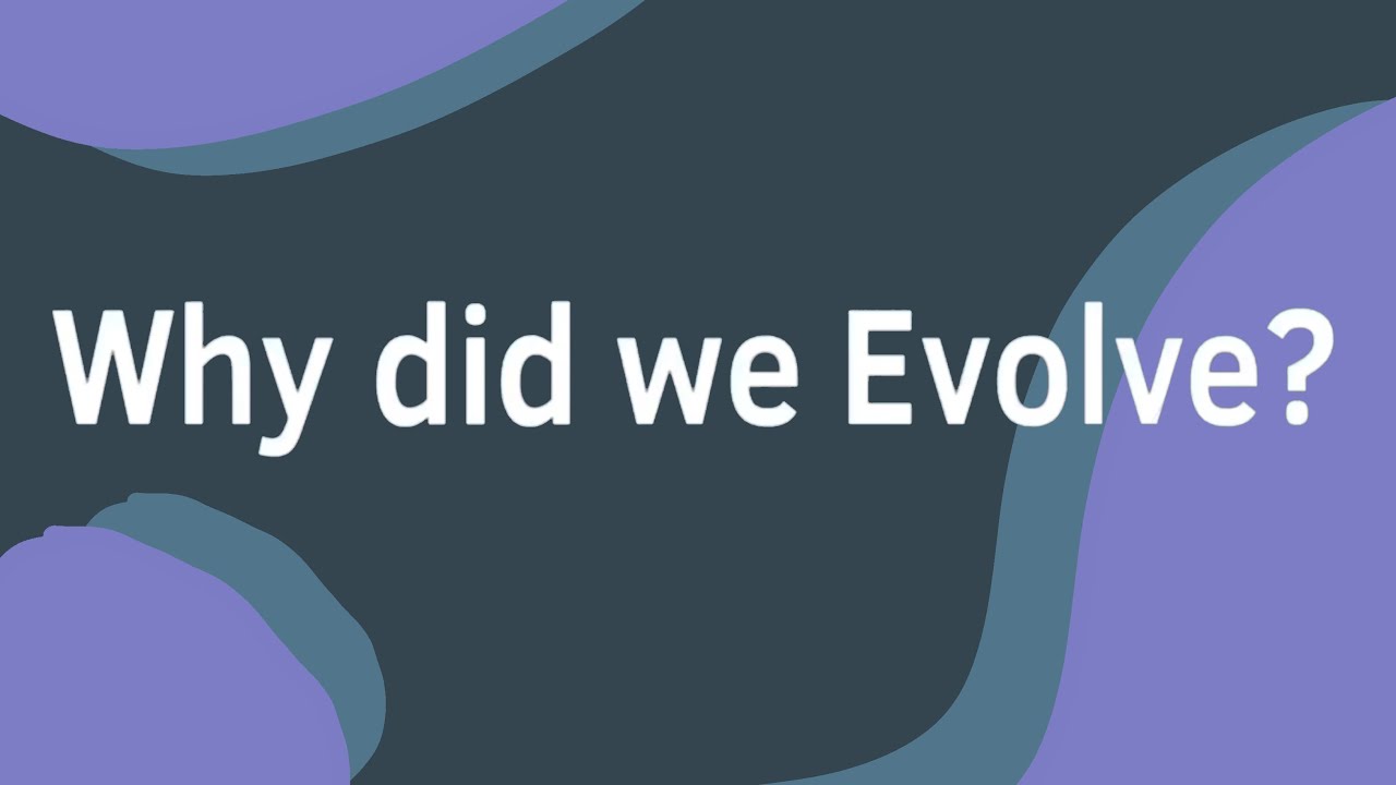 Why Did we Evolve? - YouTube