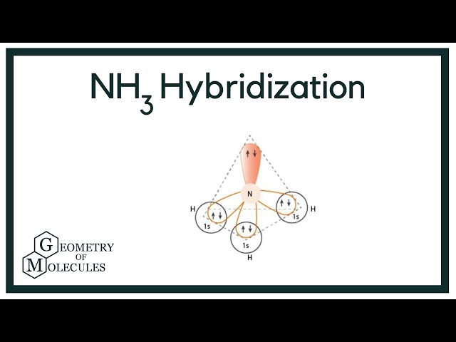 Nh3 Hybridization