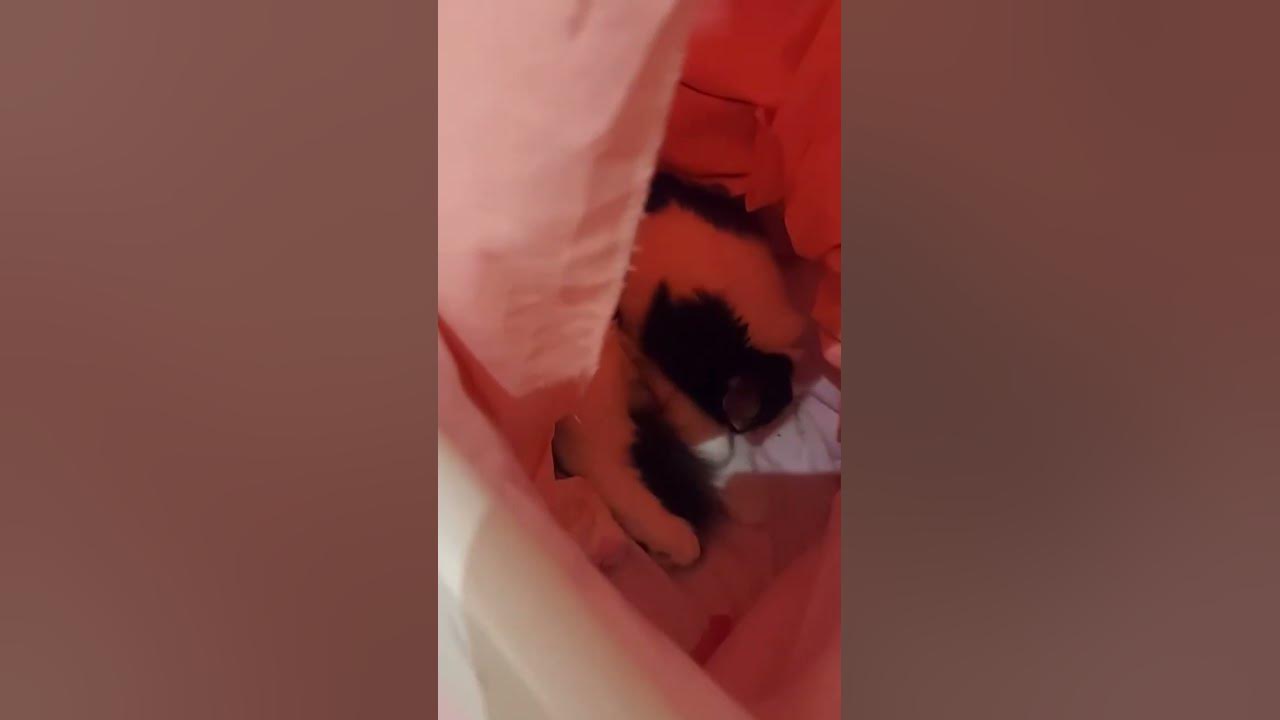 Czas na spanko - YouTube