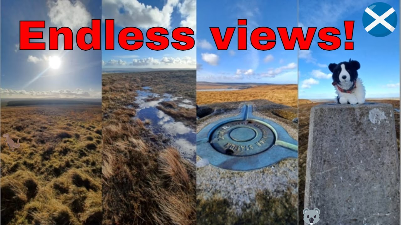 Look at these views!!! - YouTube