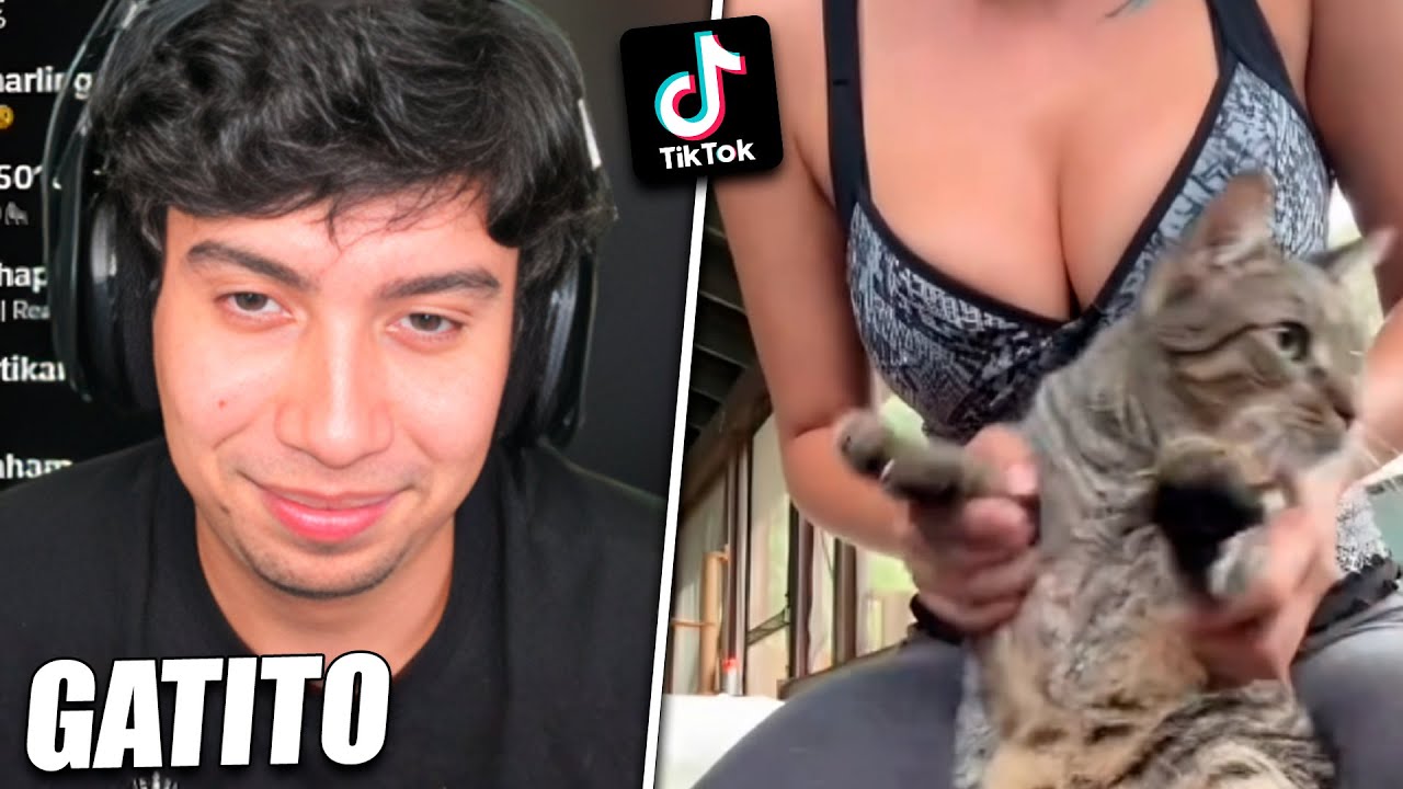 ME MANDARON MUCHOS TIKTOKS DE GATITOS - YouTube