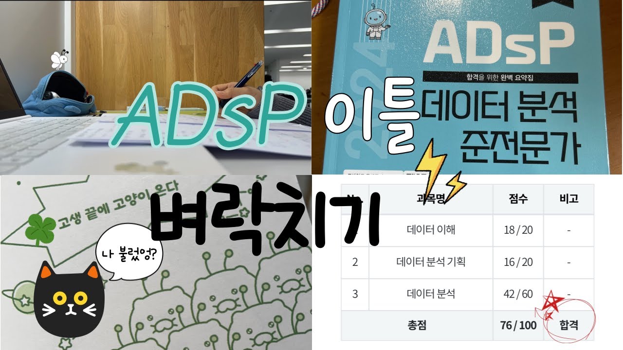 ADsP 이틀 벼락치기 가능? (독학 공부법, 2025 44회 합격 후기🔥) - YouTube