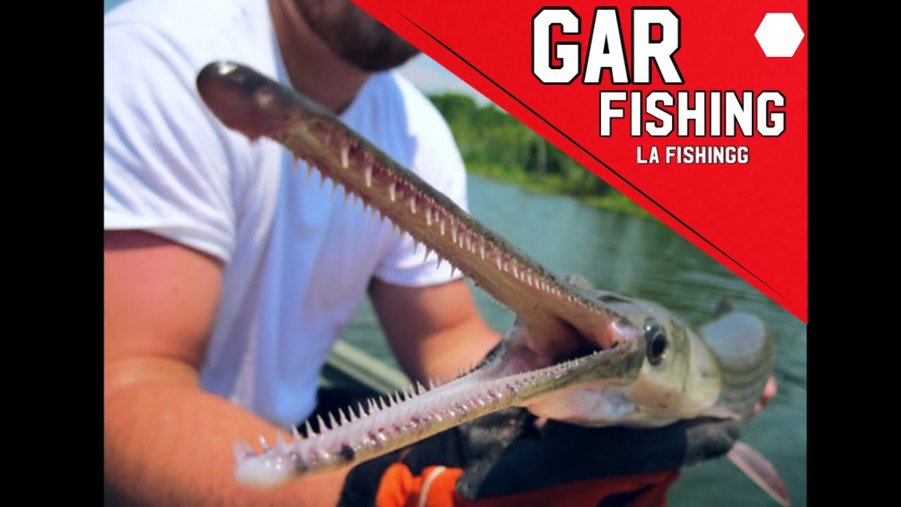 Ohio Gar Fishing - YouTube