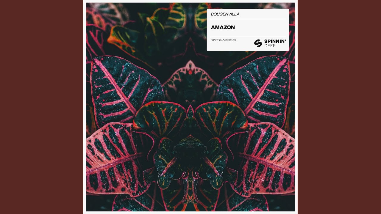 Amazon (Extended Mix) - YouTube